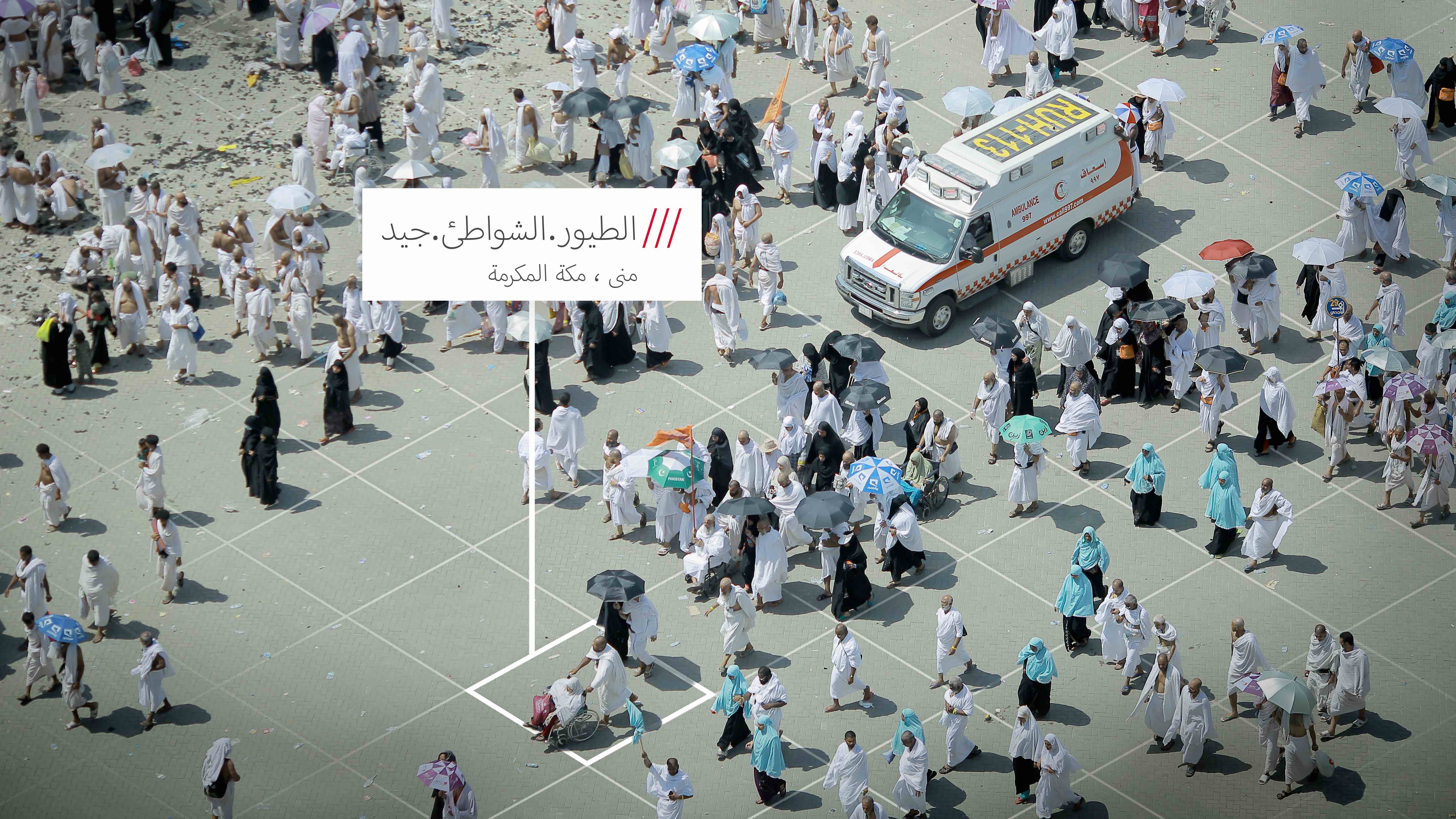 Saudi Red Crescent Logo
