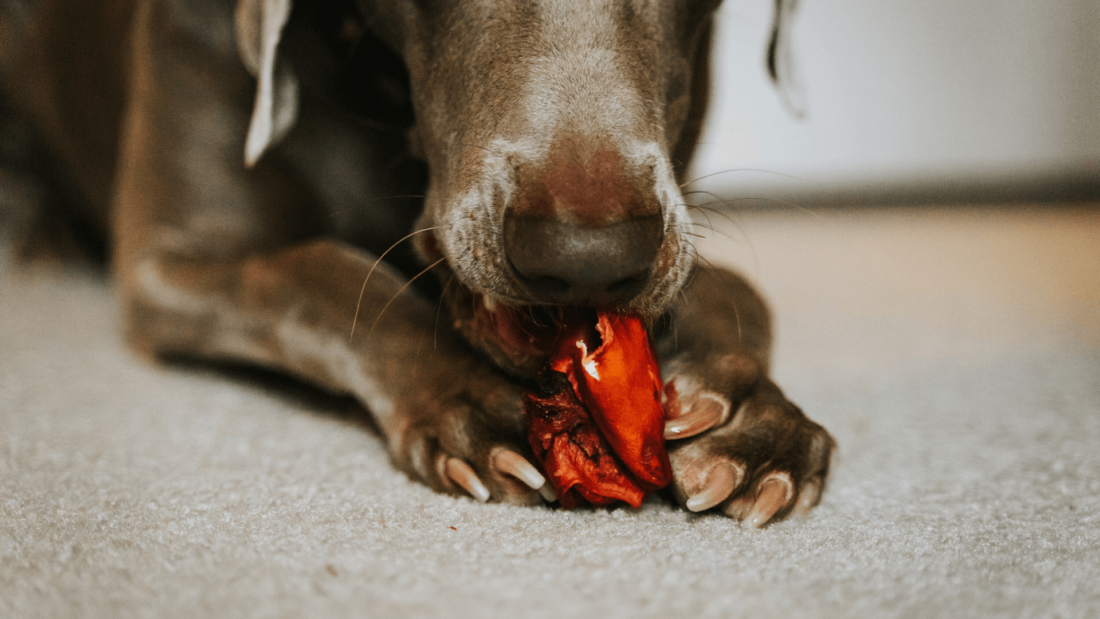 Meet some of the inspiring UK companies delivering with what3words ...